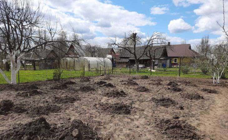 Lunární výsevní kalendář na 1. – 7. dubna 2024: co lze sázet a v jaké ...